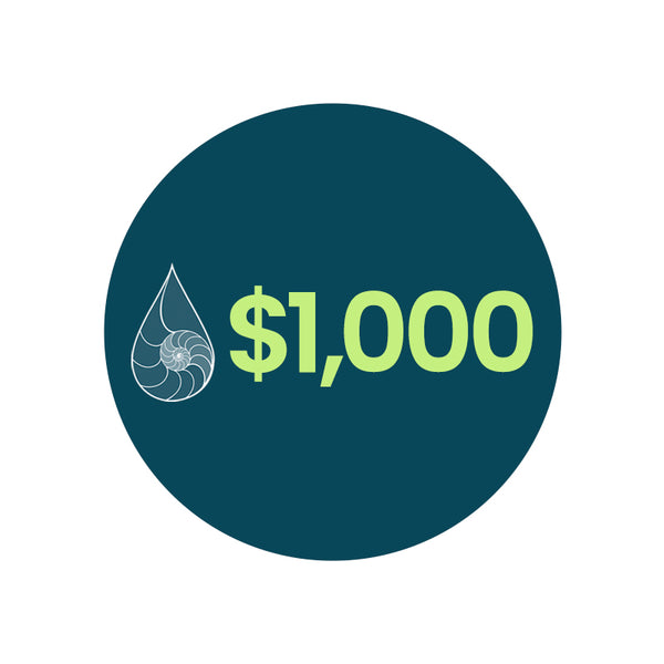 $1,000 Donation – The Paul Walker Foundation